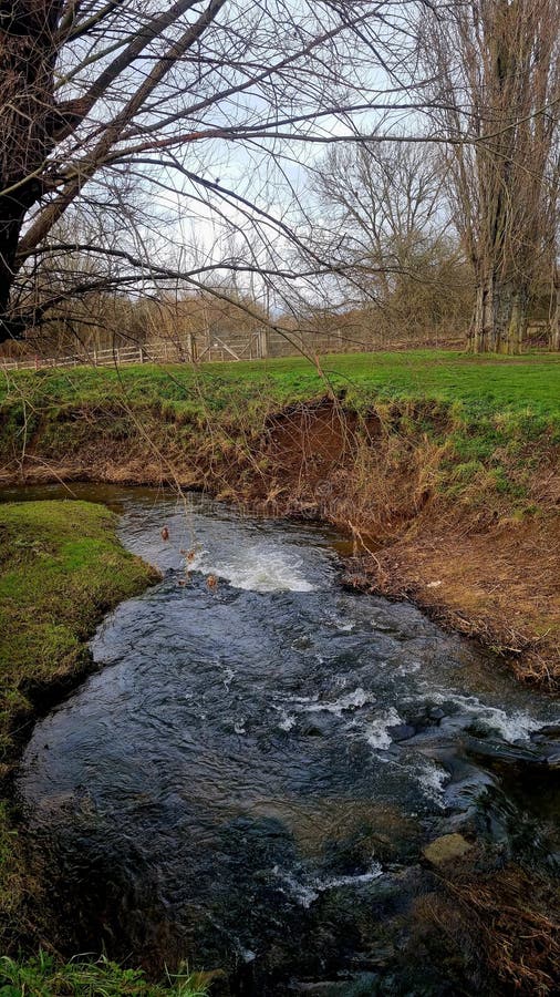 By the Lake Side at Beadle stock photo. Image of water - 268689340
