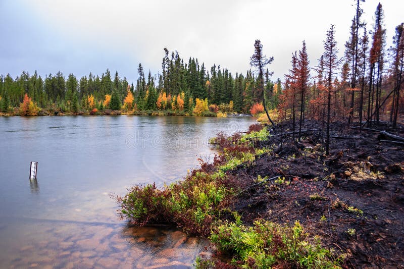 Lake Small Island Middle Post Shore Stock Photos - Free & Royalty-Free ...