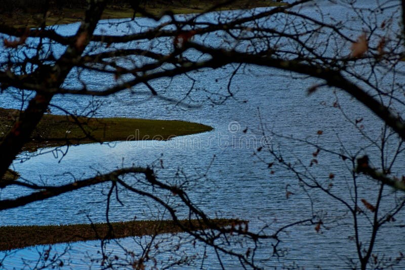 A Lake with Small Patches of Water Next To Trees and Some Grass Stock ...