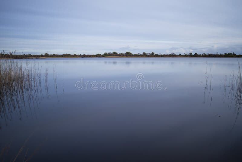 Lake with Smooth Water and Reed Reflections Stock Photo - Image of ...