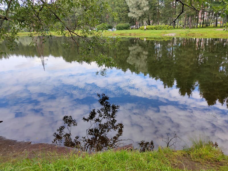 Lake in Sosnovka Park stock photo. Image of branch, park - 195254062