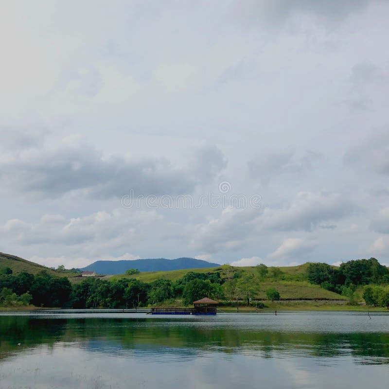 Lake South Borneo stock image. Image of marsh, nature - 266073293