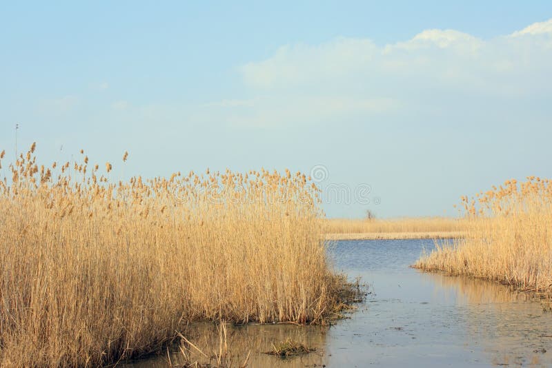 Lake a spring stock image. Image of environment, tranquil - 19297333