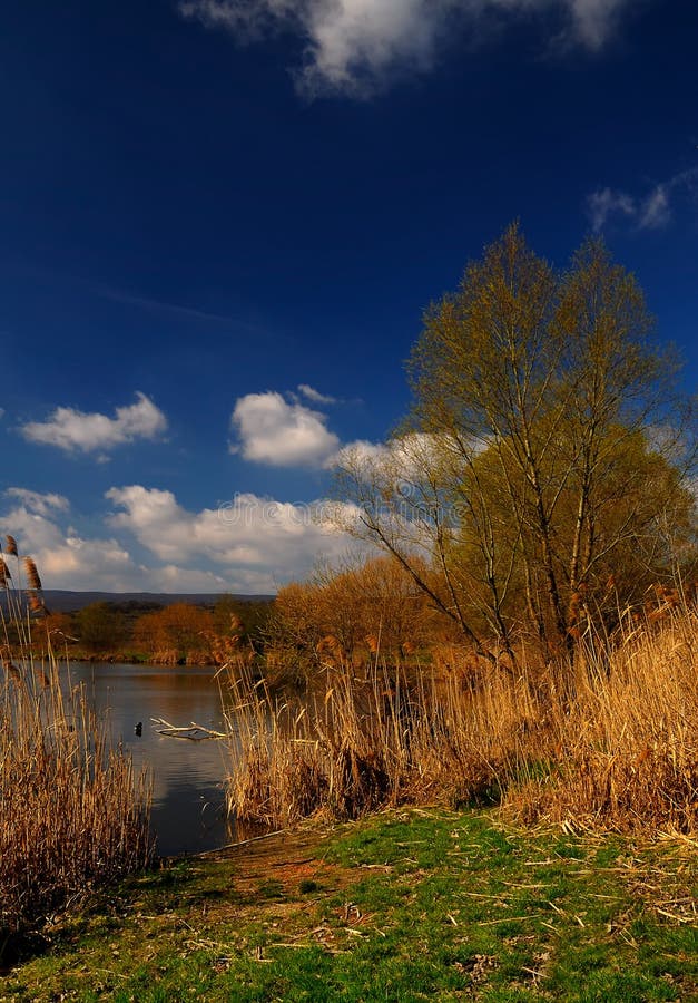 Lake in spring stock photo. Image of grass, tree, cloud - 4629838