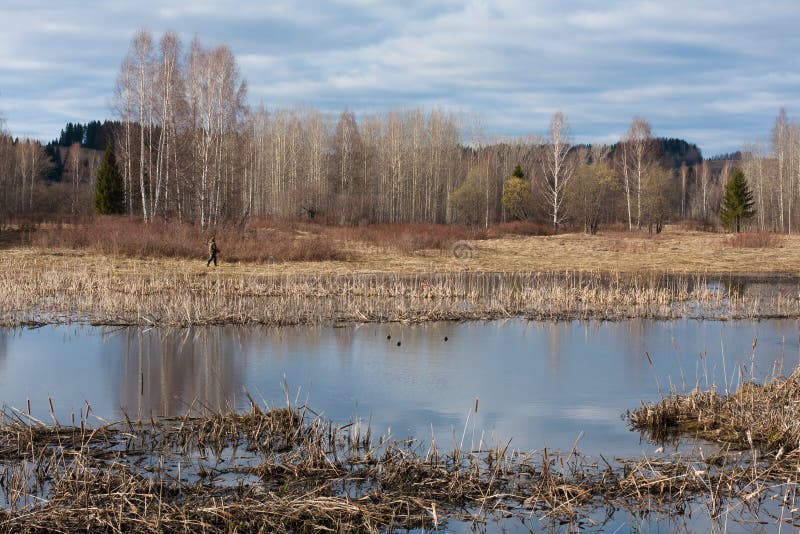 Lake at spring stock image. Image of grass, reflections - 41168705