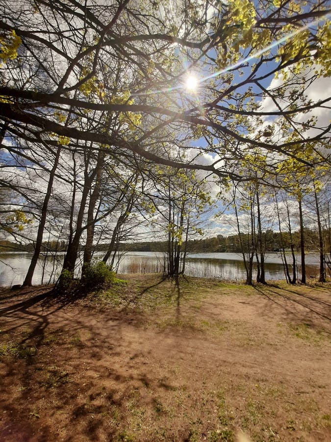 By the lake in spring stock photo. Image of morning - 185674036