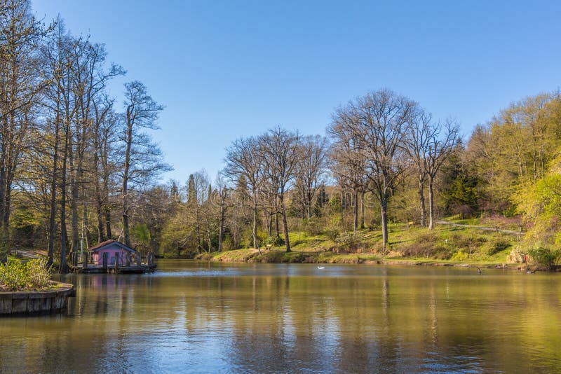 Lake and Spring stock image. Image of spring, lake, arboretum - 53722899