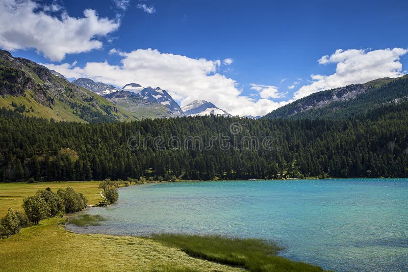 Lake of St. Moritz stock photo. Image of forest, saint - 39340440