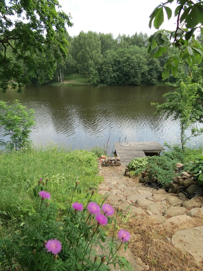 Lake stock image. Image of path, bush, tree, river, flowers - 36885219