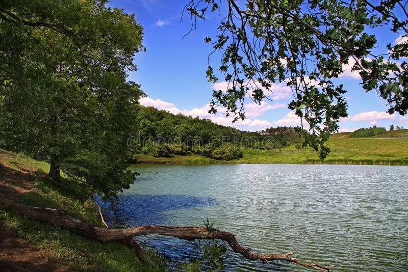 Lake on a summer day stock image. Image of lake, water - 19860813