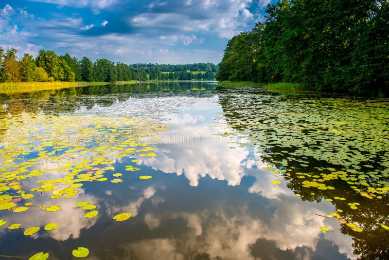Lake in summer day stock image. Image of blue, reflect - 85428489