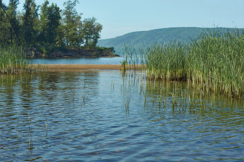 Lake on a summer day. stock photo. Image of contemplation - 57982778