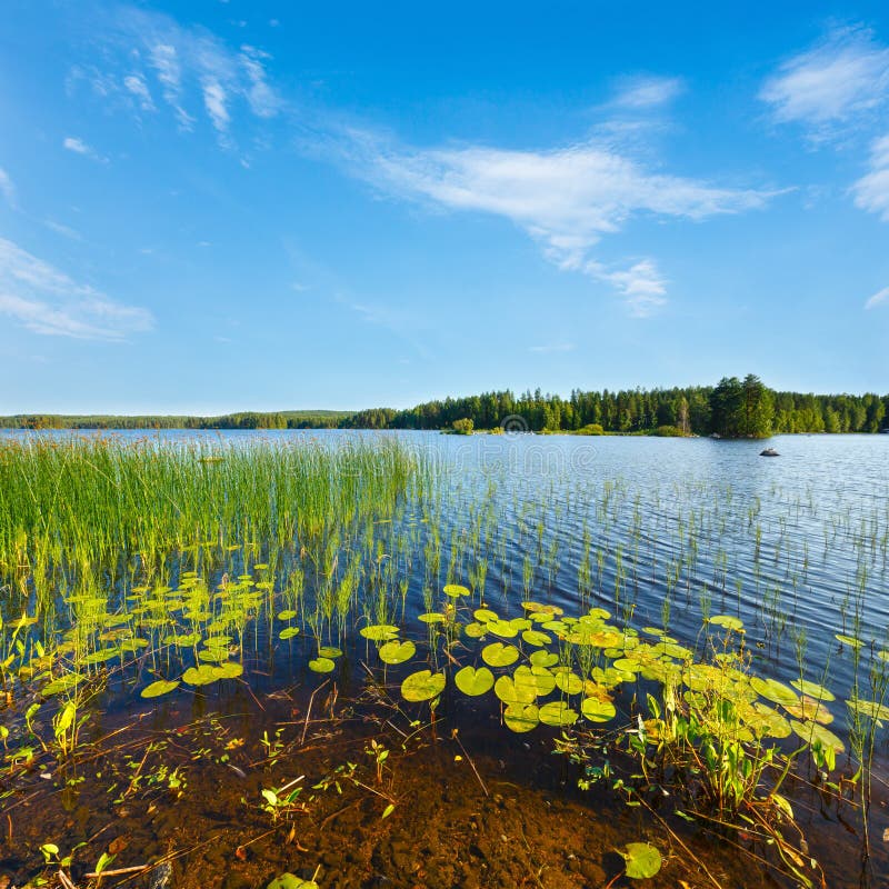 Lake Summer View (Finland). Stock Image - Image of blue, surface: 47781801
