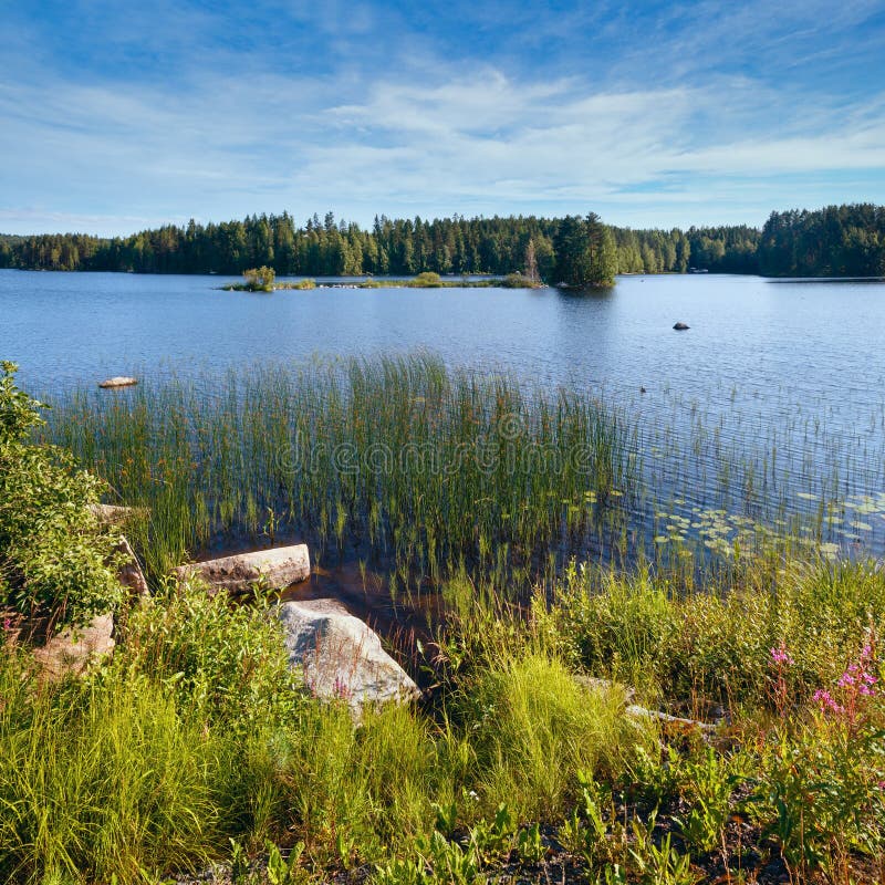 Lake summer view (Finland stock photo. Image of water - 274288252