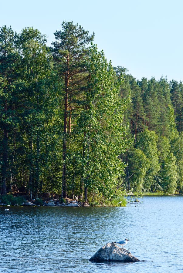 Lake Summer View (Finland). Stock Image - Image of lake, finland: 45917163