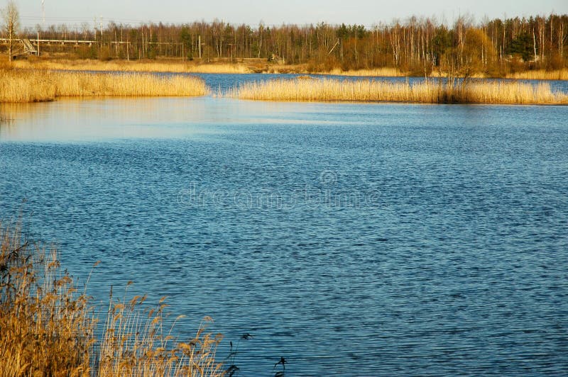 Lake in a sun day stock photo. Image of reflection, reed - 6342224