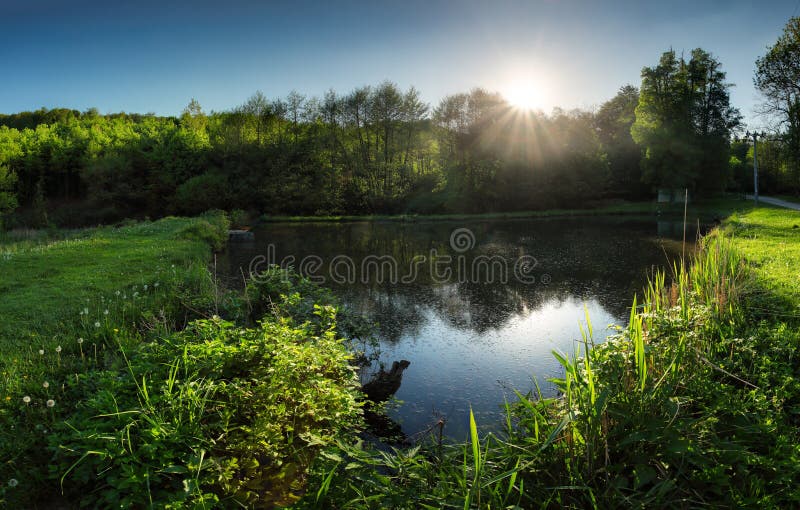 Lake with Sun Reflection in Water Near Forest Stock Photo - Image of ...