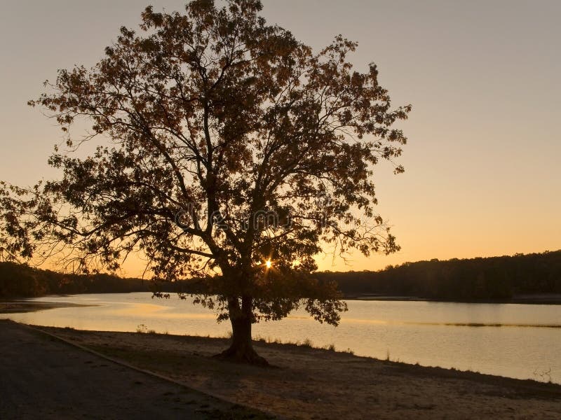 Lake Sunrise stock photo. Image of shoreline, glare, colors - 1425670