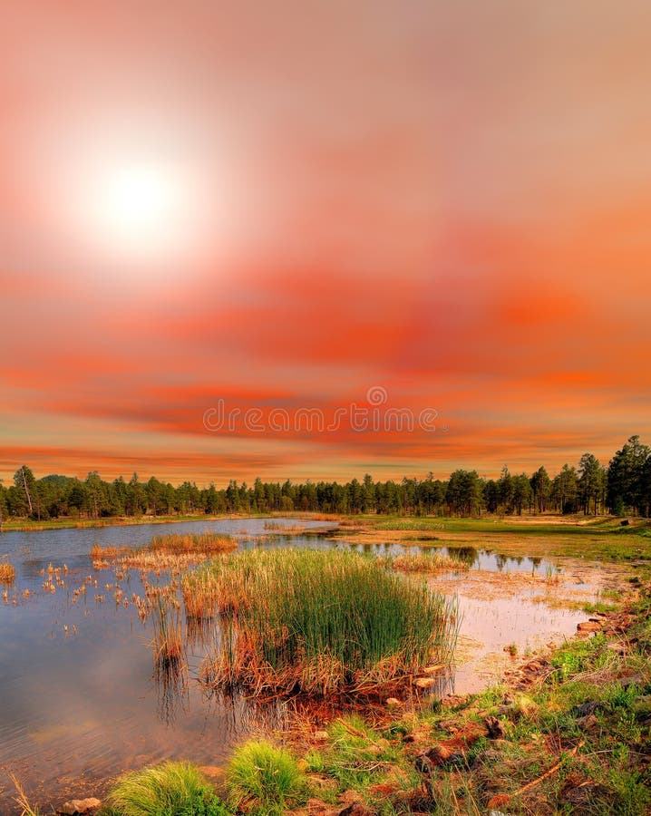 Lake Sunset stock image. Image of pond, lake, rocks, camp - 62824209