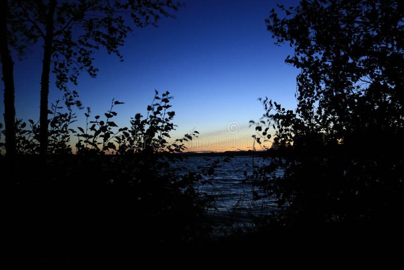 Sunset in a bush stock image. Image of blue, orange - 102582293