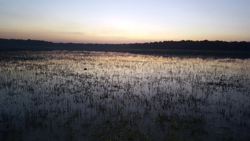 Sundown View on a Dark Lake. Stock Photo - Image of environment, mist ...
