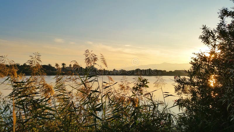 A lake sunset view stock image. Image of sunset, plants - 64017069
