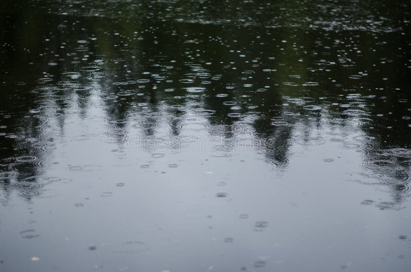 Reflection of Trees and Clouds in Slightly Frozen Water Stock Photo ...