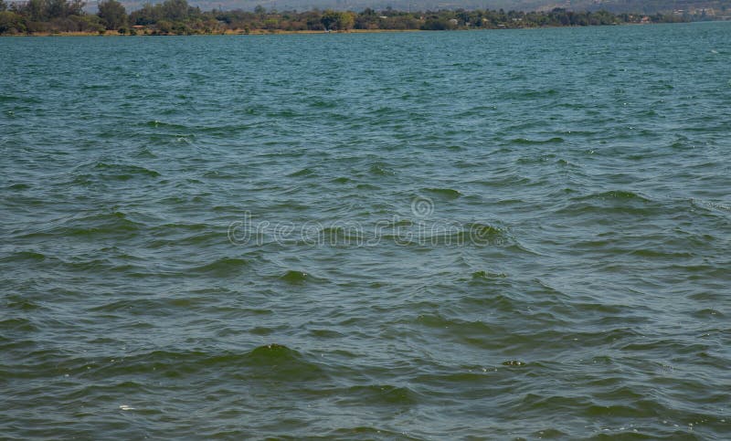 Lake Surface with Small Waves and Depth Blur Focus Stock Photo - Image ...