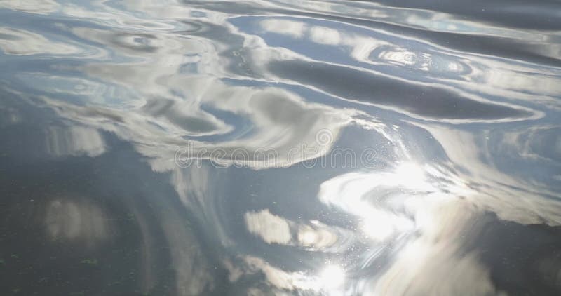 Lake surface with waves. stock video. Video of waves - 274313337