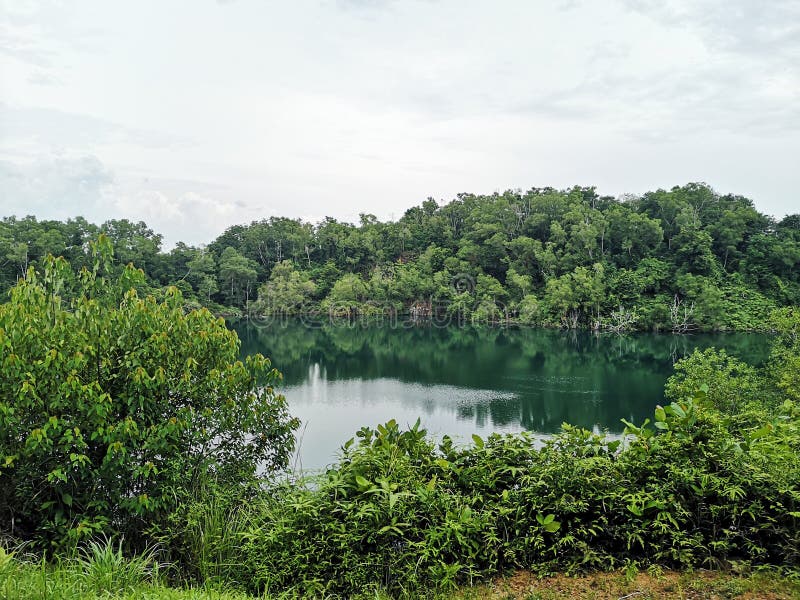 Beautiful Lake Surround by Forest Stock Photo - Image of green, forest ...
