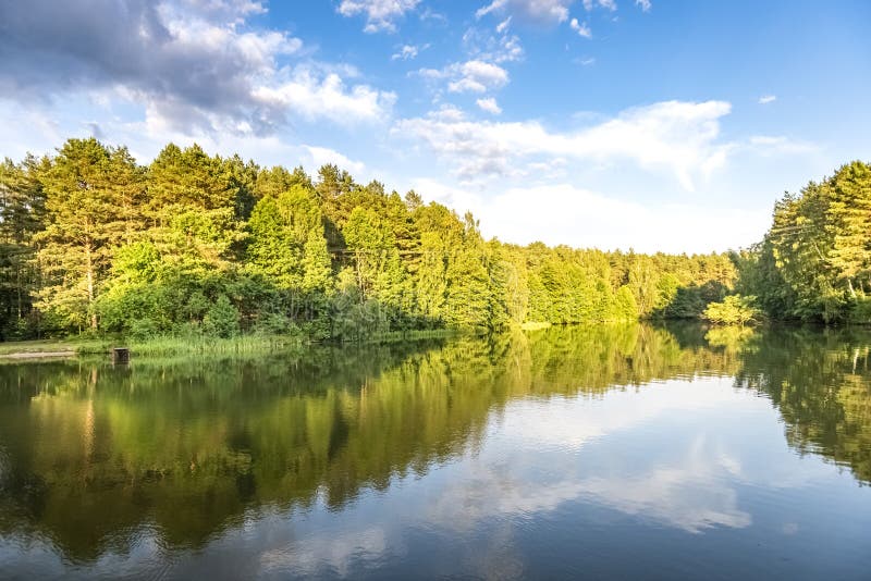 Lake surrounded by forest stock image. Image of grass - 152256549