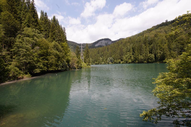 Lake Surrounded by Lush Green Vegetation Stock Photo - Image of lush ...