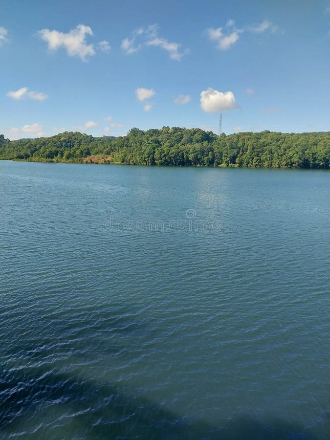A Lake for Surrounded by Protected Forest Stock Photo - Image of ...