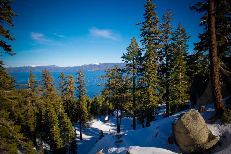 Lake Tahoe stock image. Image of lake, forest, trees, pine - 7946857
