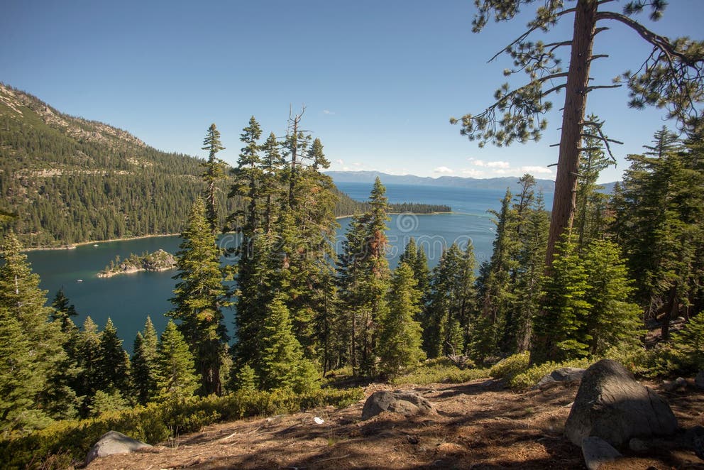 Lake Tahoe through Trees stock photo. Image of park, water - 88940310