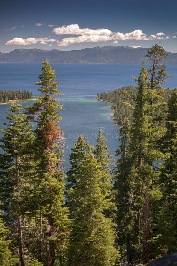 Lake Tahoe through Trees stock image. Image of lake, california - 88929403