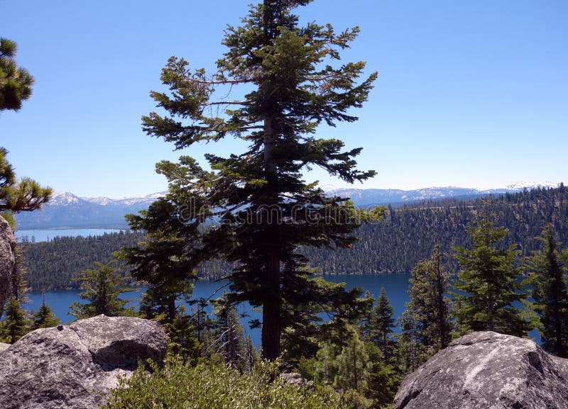 Lake Tahoe View stock photo. Image of trees, nevada, view - 93450366