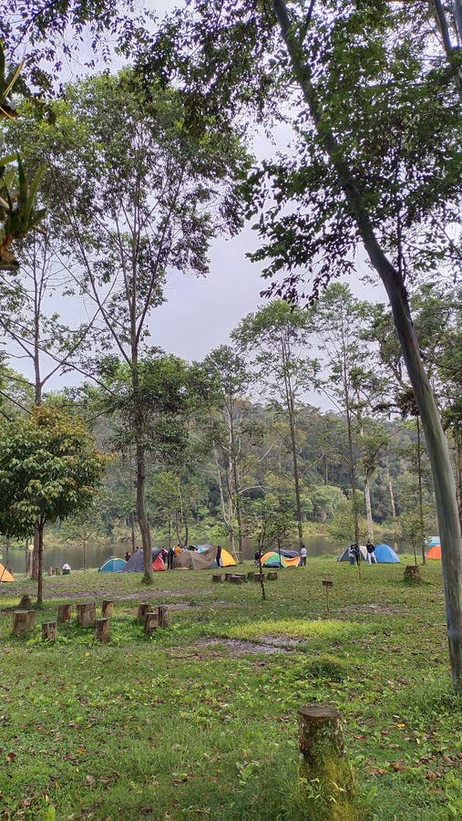 Lake Tambing, Napu, Central Sulawesi Stock Image - Image of garden ...