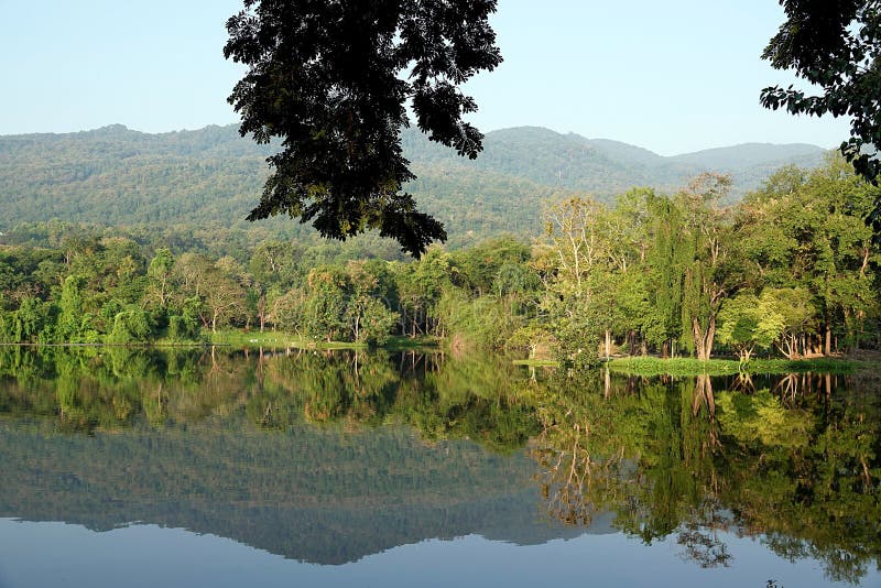 Lake and Teh Reflection of Dense, Green Forest on Teh Water Stock Image ...