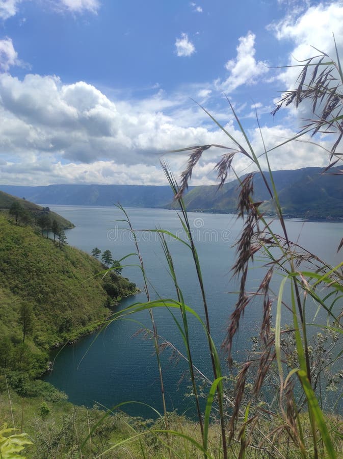 Lake toba Indonesia stock photo. Image of lake, leaf - 262317770