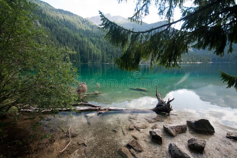 Lake Tovel in the Brenta Dolomites Stock Photo - Image of water, park ...