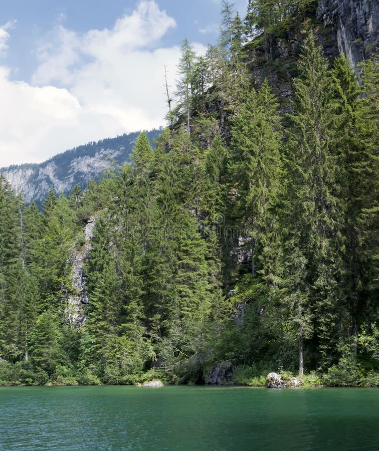 Lake Tovel in the Dolomites, Italy Stock Image - Image of bushes, pond ...