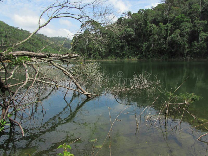 Trees and Ruins on the Lake Stock Image - Image of river, clear: 101207021