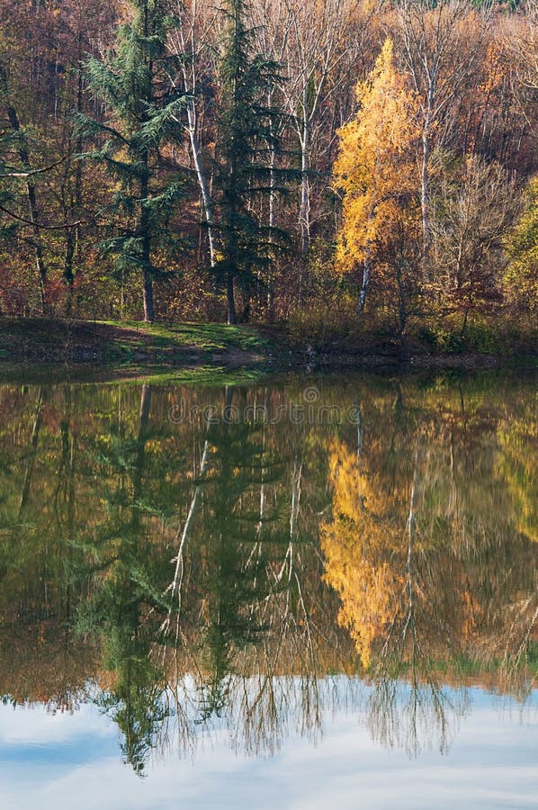 Lake with tree reflections stock image. Image of season - 42199297