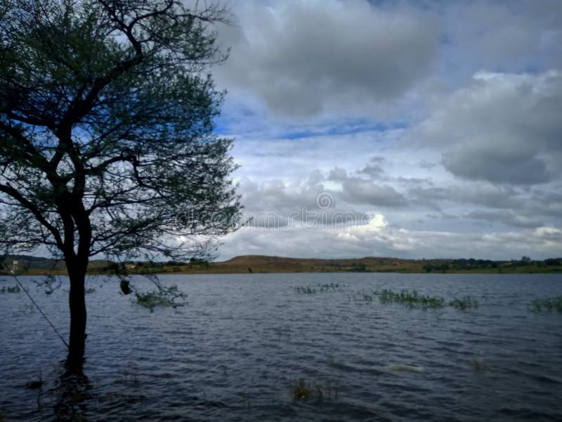 Lake with a Tree in between Scene Landscape Beautiful Stock Image ...