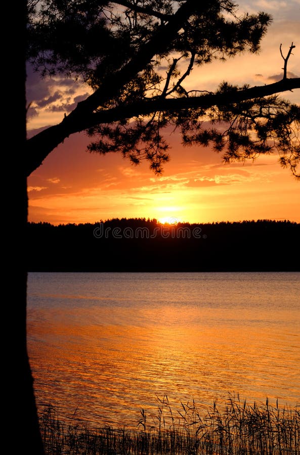 Lake, Tree Silhouette and Sunset on the Sky among Clouds Stock Image ...