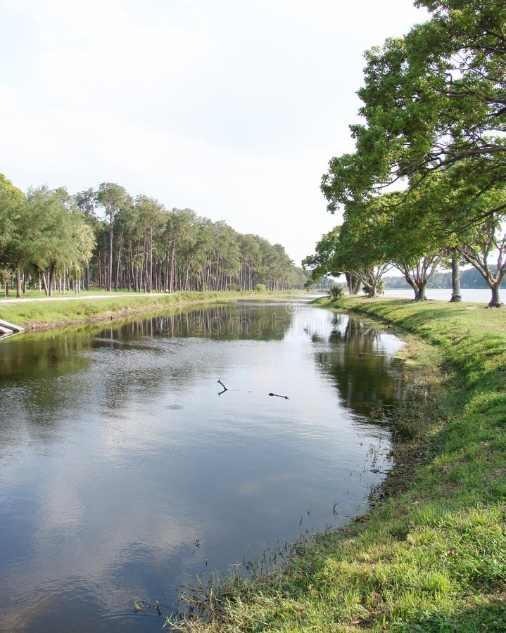 Lake and Treeline stock photo. Image of water, lake, river - 2456086