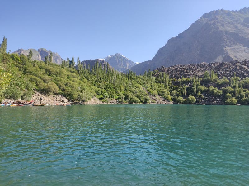 Lake and trees stock photo. Image of coast, river, vacation - 252858360