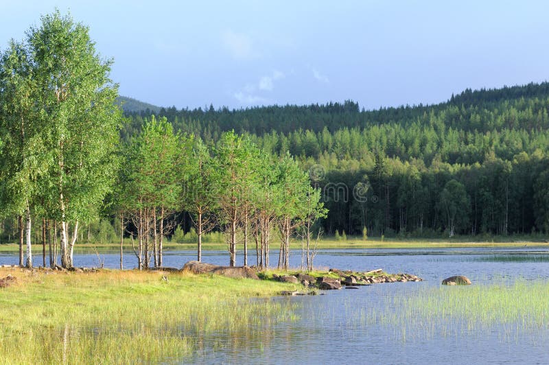 Lake with trees stock image. Image of white, reserve, beautiful - 6443179