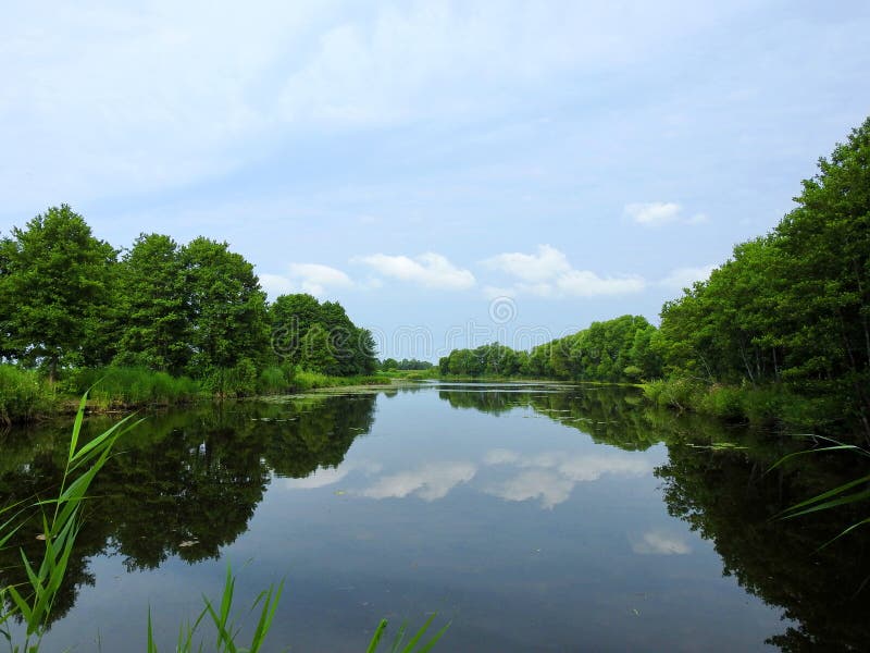 Lake, Trees and Beautiful Clean Sky, Lithuania Stock Image - Image of ...